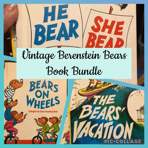 Other | Vintage Berenstain Bears Book Bundle | Poshmark